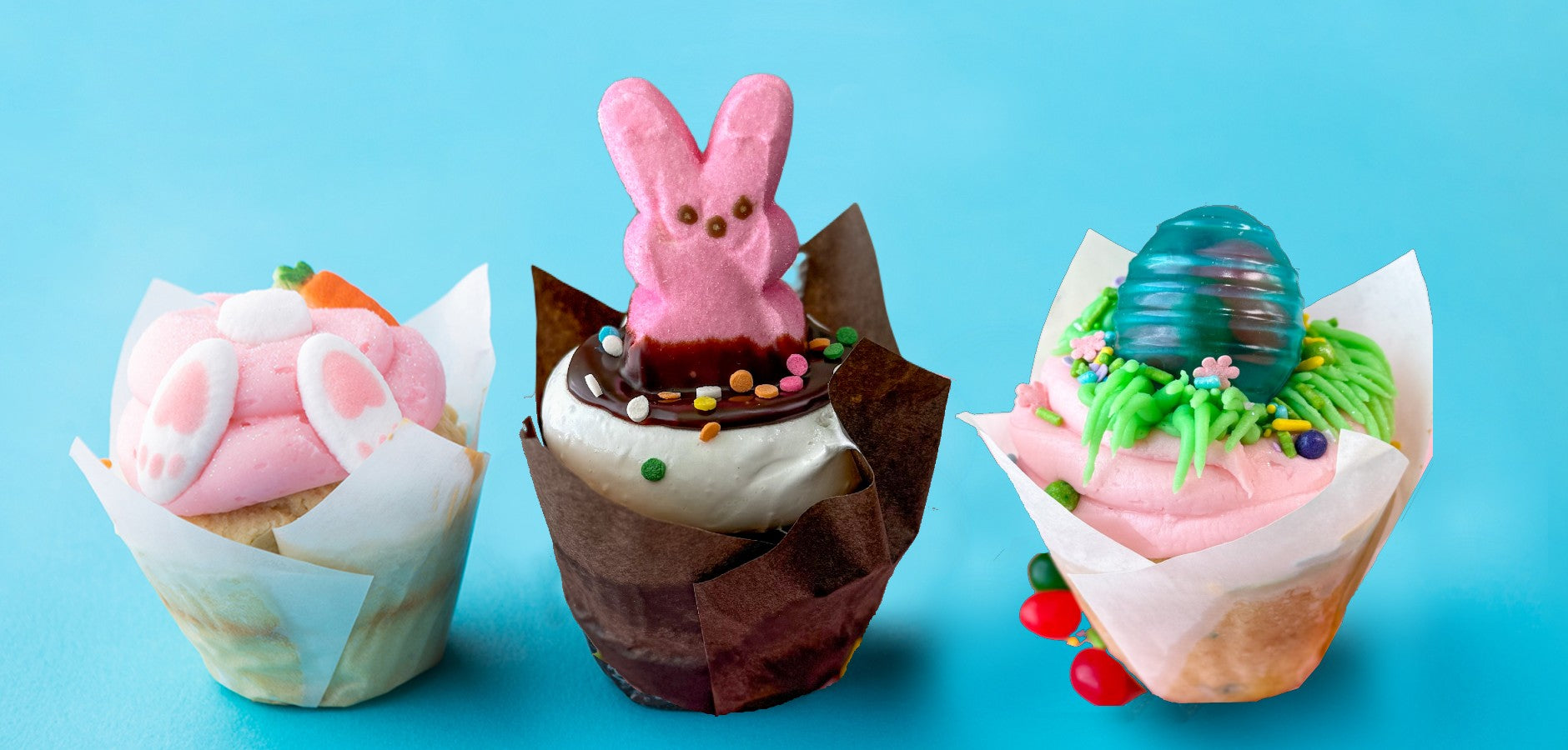 Cravings Alisha's Cupcakes | Award Winning Cupcakes & Desserts