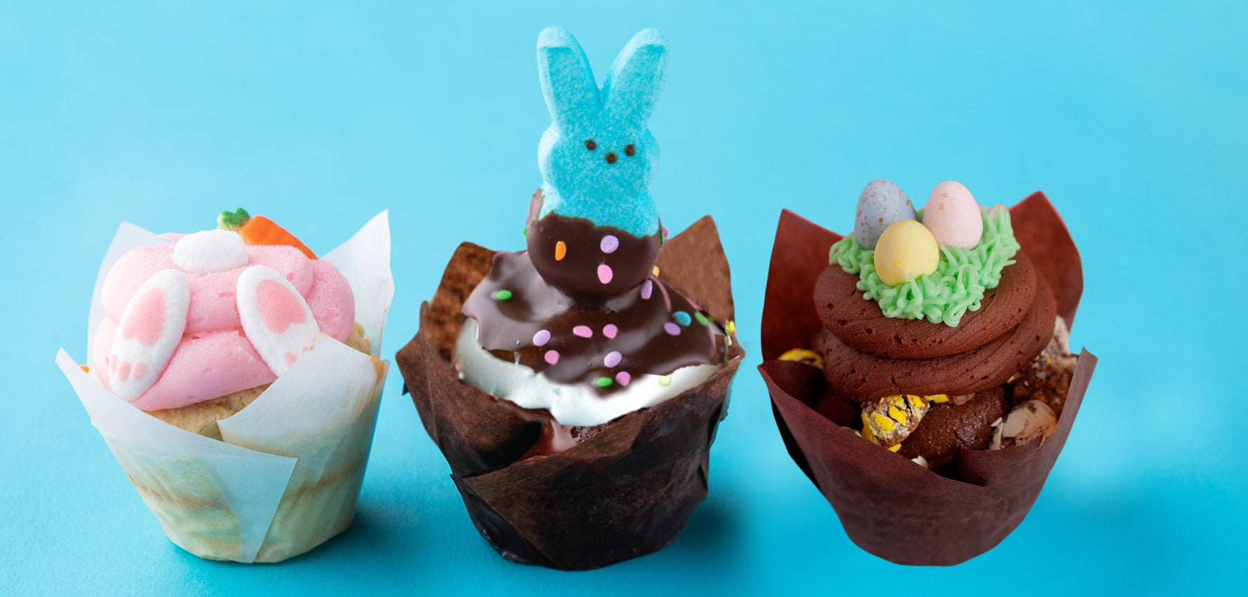 Cravings Alisha's Cupcakes | Award Winning Cupcakes & Desserts
